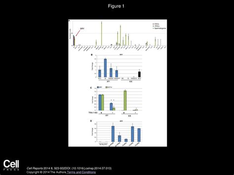 Sex Dependent Gene Expression In Human Pluripotent Stem Cells Ppt