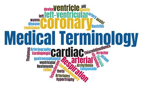 Medical Terminology Series Marietta College