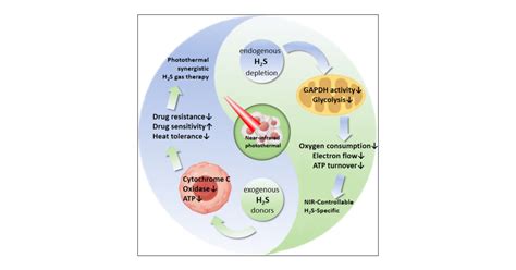 Nanomaterials For Endogenous And Exogenous Hydrogen Sulfide Based Nir