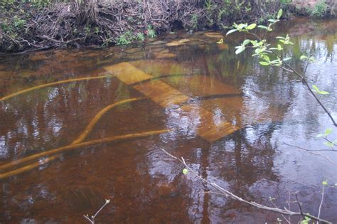 Sediment Collector Streamside