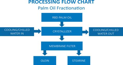5 Steps Involved In The Oil And Fat Refining Process