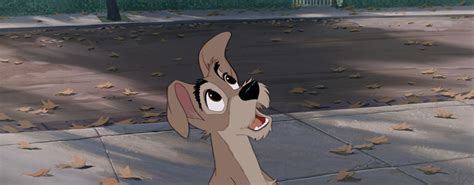 The Tramp Doo Project The Parody Wiki Fandom Powered By Wikia