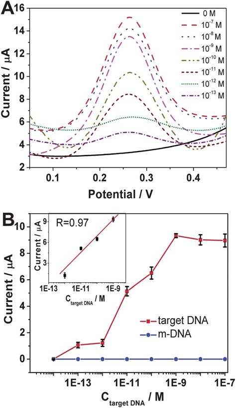 A Dpv Curves Of The Nees At Different Concentrations Of The Target Download Scientific
