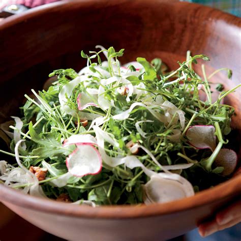 Pea Shoot And Arugula Salad With Radishes And Hazelnuts Recipe Kelly