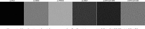 Figure 9 From Pwnet An Adaptive Weight Network For The Fusion Of