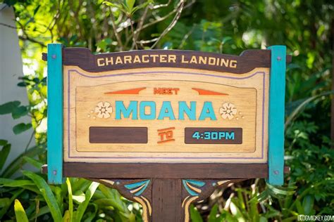 Moana Meet And Greet Debuts At Disneys Animal Kingdom Draws Multi Hour