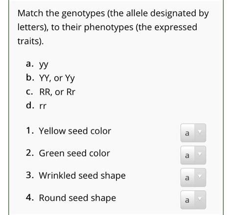 Solved Match The Genotypes The Allele Designated By Chegg