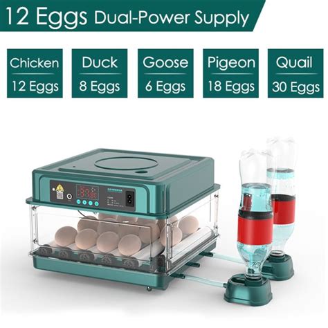 Digital Brooder 10 12 Eggs Incubator Fully Automatic For Chicken Goose