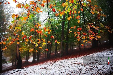 طبیعت مازندران در پاییز هزار رنگ تصاوير بزرگ بهار نیوز