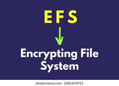 Best Efs File System Royalty Free Images Stock Photos Pictures Shutterstock