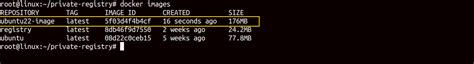 How To Set Up A Private Docker Registry On Linux Earthly Blog