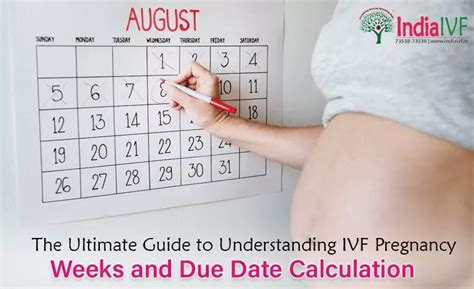 Ultimate Guide To Understanding Ivf Pregnancy Weeks And Due Date
