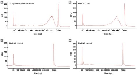 Positive And Negative Controls In Scrna Seq