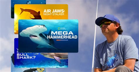 Tiger Shark Migration Shifting As Oceans Warm Atlantic Shark Expeditions