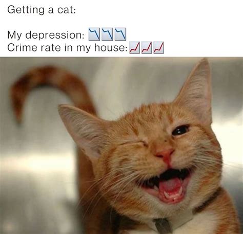 Crime Statistics Memes Completely Bogus Meme That Keeps On Being