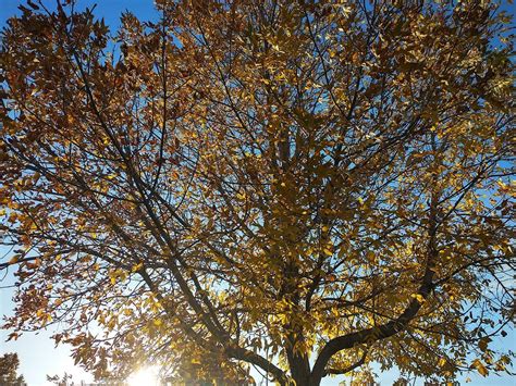 Xiaomi Mi A Review Android One Just Got Familiar Slashgear