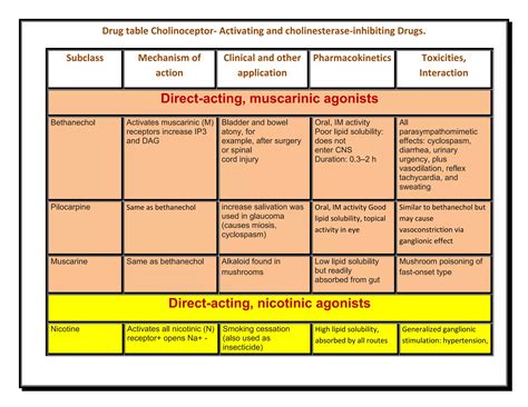 Chart Cholinergic Pdf