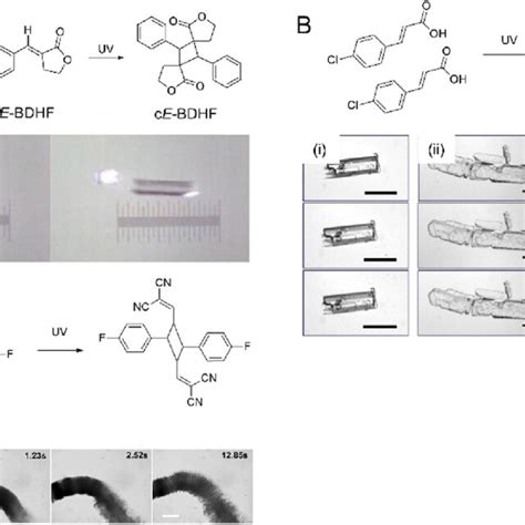 A Snapshots Of Photosalinet Z Bdhf Crystals Splitting Into Fragments