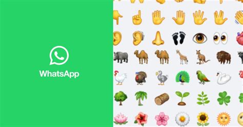 Todos los nuevos emojis de WhatsApp para Android guía completa