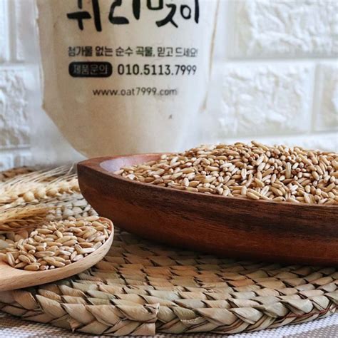 귀리맞이 저녁식사대용 선식 귀리쉐이크로 먹는 볶은 귀리가루 500g 티몬
