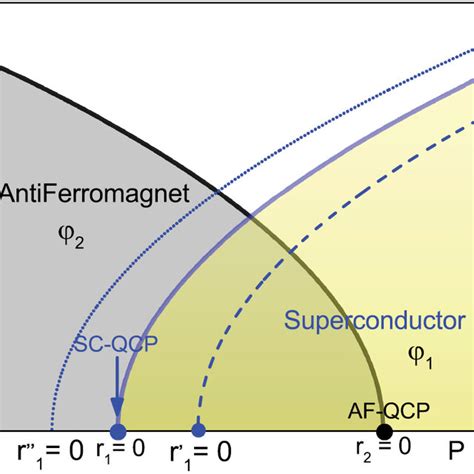 Schematic Phase Diagram Of Coexisting Phases In The Presence Of Both