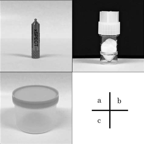 Figure 1 From Validation Of Cross Calibration Schemes For Quantitative Bone Spectct Using