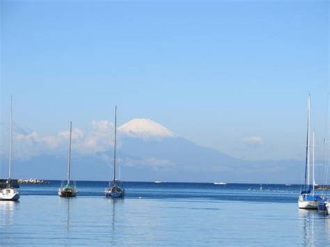 富士山油壺マリーナヒルズJLDインフォメーション株式会社日本ライフデザイン