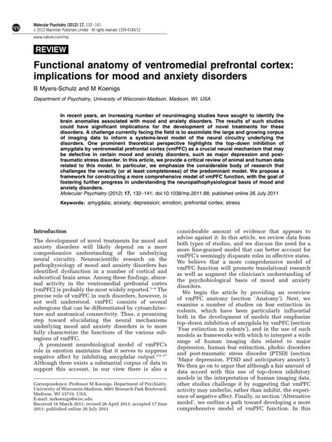 Pdf Functional Anatomy Of Ventromedial Prefrontal Cortex