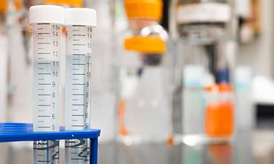 OPRD综述P 手性二氢苯并氧磷杂环戊烷磷配体促进的催化与合成上篇 1 宁波赜军医药科技有限公司