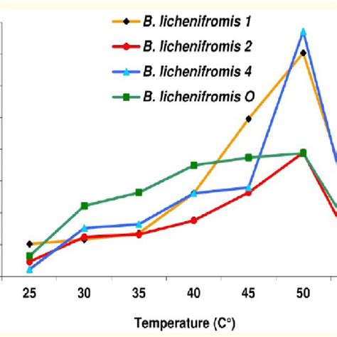 Two Of The Isolates Of Bacillus Licheniformis Grown At 37°c Colonies