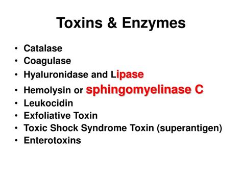 Ppt Pyogenic Coccus Powerpoint Presentation Free Download Id 3589406