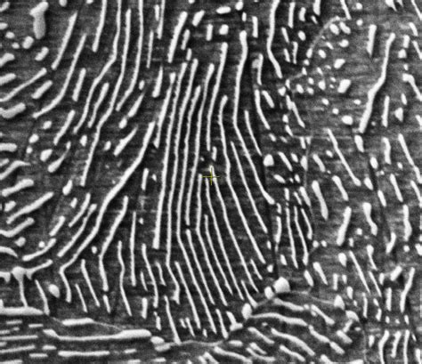 Coarse Pearlite Microstructure