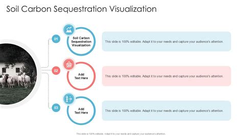 Soil Carbon Sequestration Visualization Ppt Slides Cpp PPT Slide