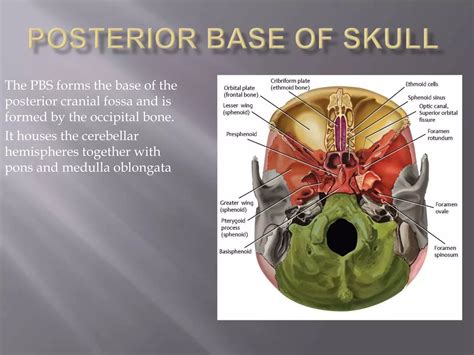Lateral Skull Base Anatomy And Applied Science By Dr Bomkar Bam Pptx