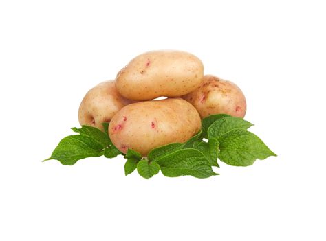 Kartoffel Png Transparent Hintergrund Png