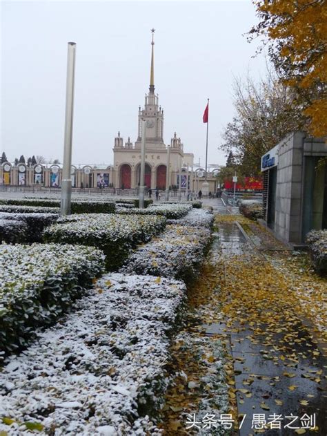 實拍北京第一場冬雪悄悄到來瑞雪兆豐年 每日頭條