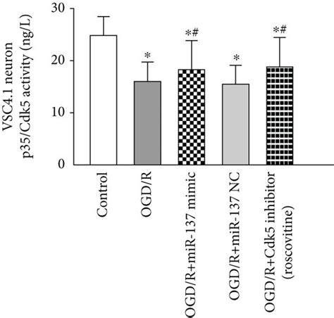 Modulation Of P35 Cleavage And P25 Cdk5 Activation By The Download Scientific Diagram
