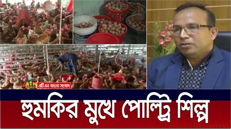 পিরোজপুরে বন্ধ হয়ে গেছে কয়েকশ মুরগীর খামার । Poultry Business