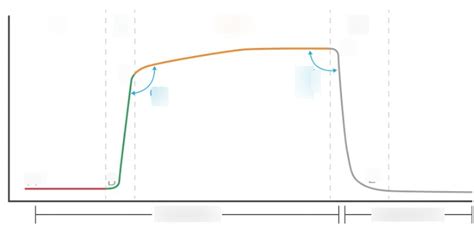 Etco2 Waveform Basic Pp Apex Diagram Quizlet