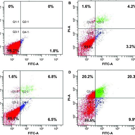 The Effect Of Am On Early Apoptosis Of Mda Mb 231 Cells Notes