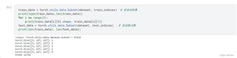 Pytorch 分类模型 数据加载方法 dataloader正负标签 CSDN博客
