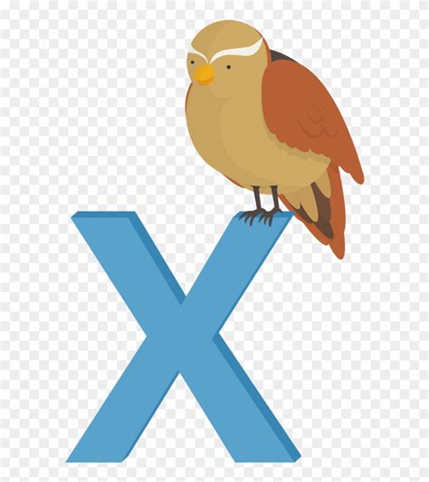 Xenops Clipart