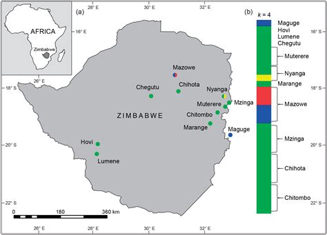 Evidence Of Multiple Divergent Mitochondrial Lineages Within The