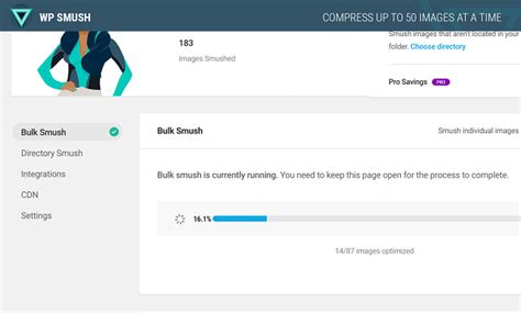 free wp smush wordpress plugin download blogwings