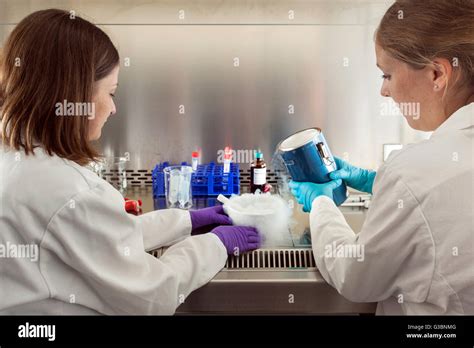 RNA Isolation In A Genetic Laboratory Stock Photo Alamy