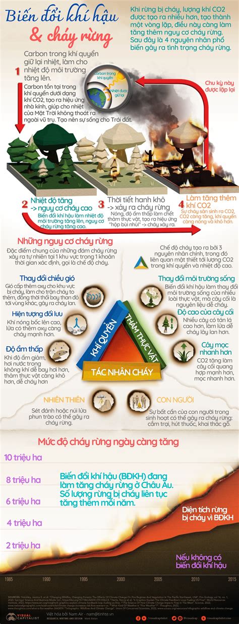 Infographic Cháy Rừng Do Hậu Quả Của Biến đổi Khí Hậu