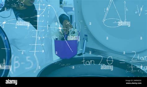Image Of Mathematics Formulae Floating Over A View Of A Female Laboratory Worker During The