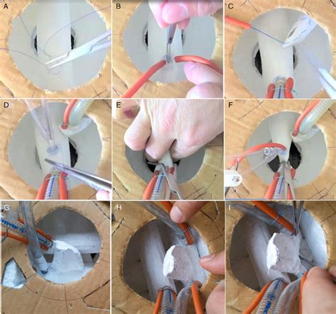 Full Cannulation Of The Models A And B Cannulation Of The Aortic Download Scientific