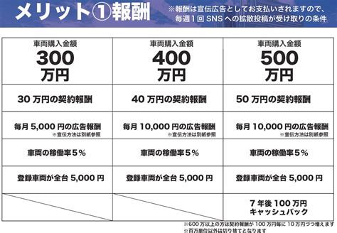 詐欺疑惑で被害者の悲痛な告白が続々カーシェア投資に騙された ハーバービジネスオンライン ページ 2
