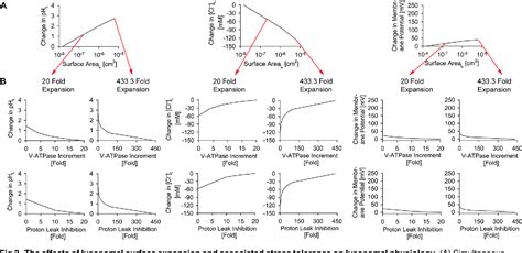 Figure 3 From The Physiological Determinants Of Drug Induced Lysosomal